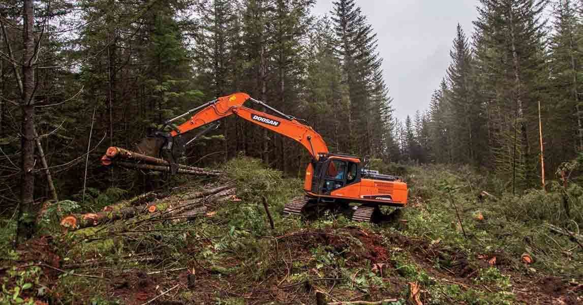Forestry Logging | Best Line Equipment